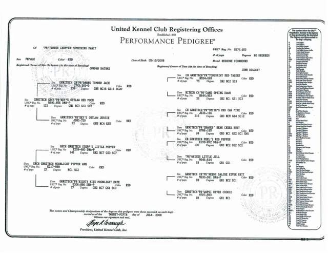 Timber Chopper Kennels - Redbone Coonhounds